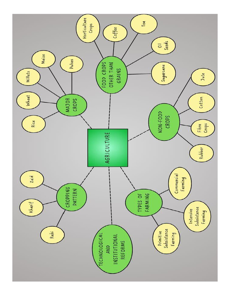 Agriculture Mind Map | PDF
