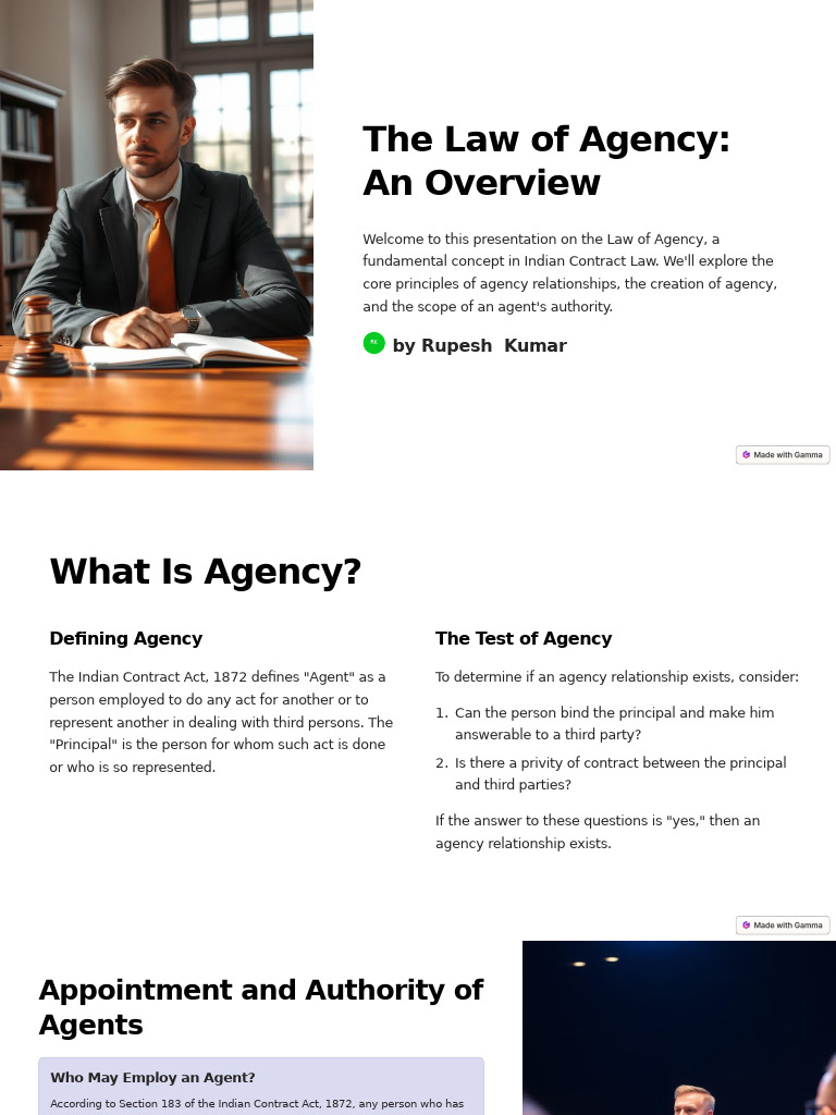 The Law of Agency An Overview | PDF | Law Of Agency | Justice