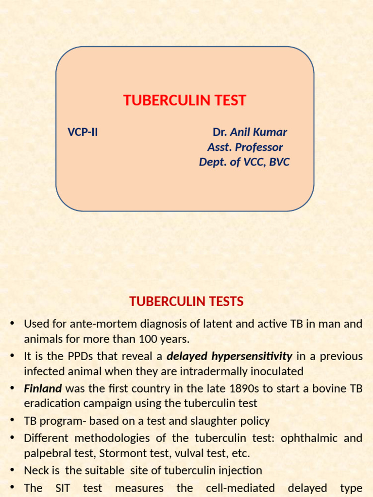 Tuberculine Test | PDF | Tuberculosis | Mycobacterium