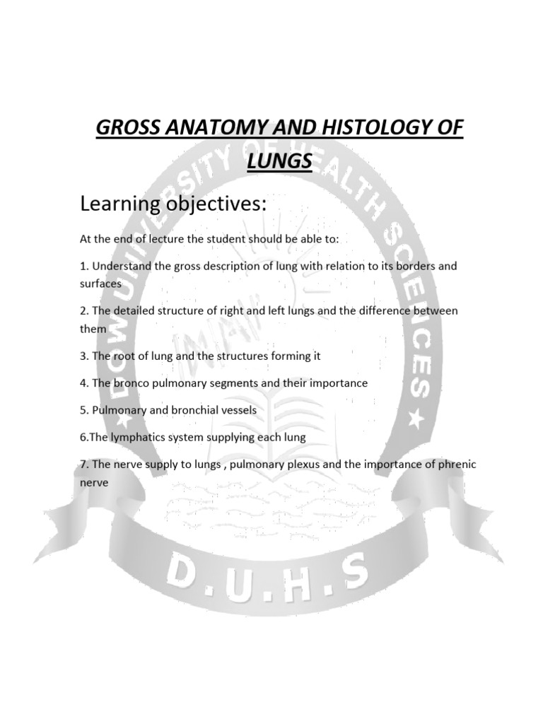 GROSS Anatomy and Histology of Lungs | PDF | Lung | Respiratory Tract