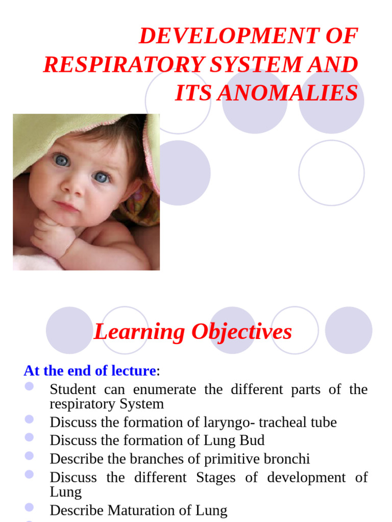 Dev of Respiratory System | PDF | Respiratory Tract | Lung