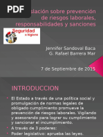Norma NOM-021-STPS-1994 sobre riesgos laborales | PDF | México