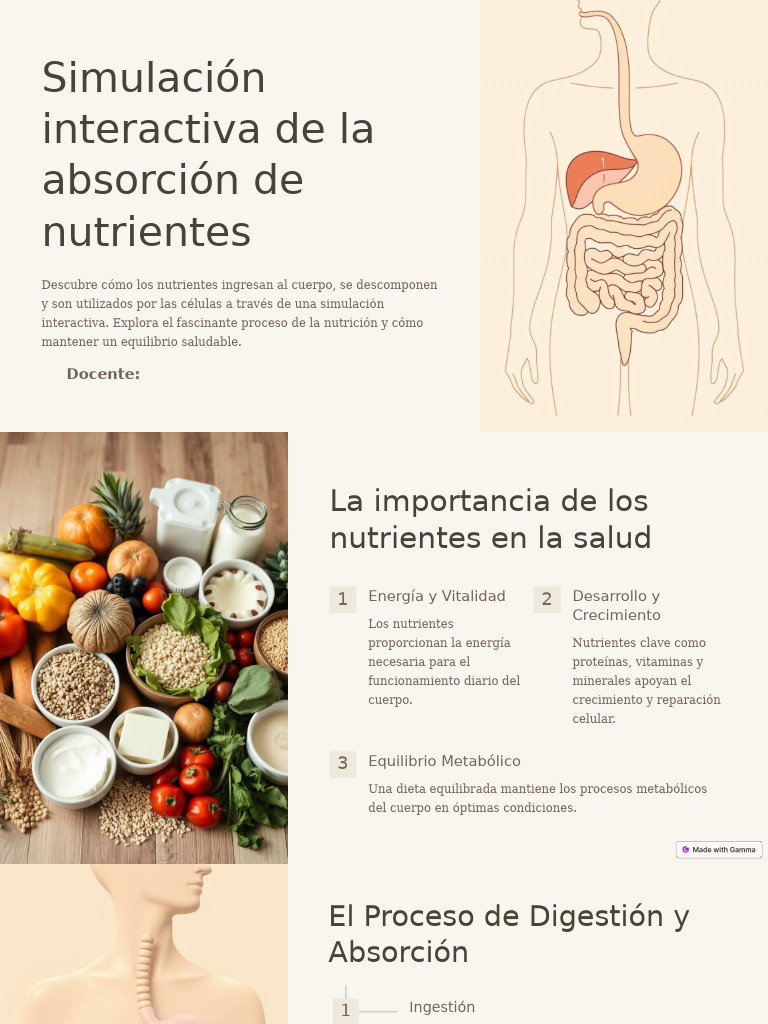 Simulación de Absorción de Nutrientes | PDF | Nutrientes | Digestión