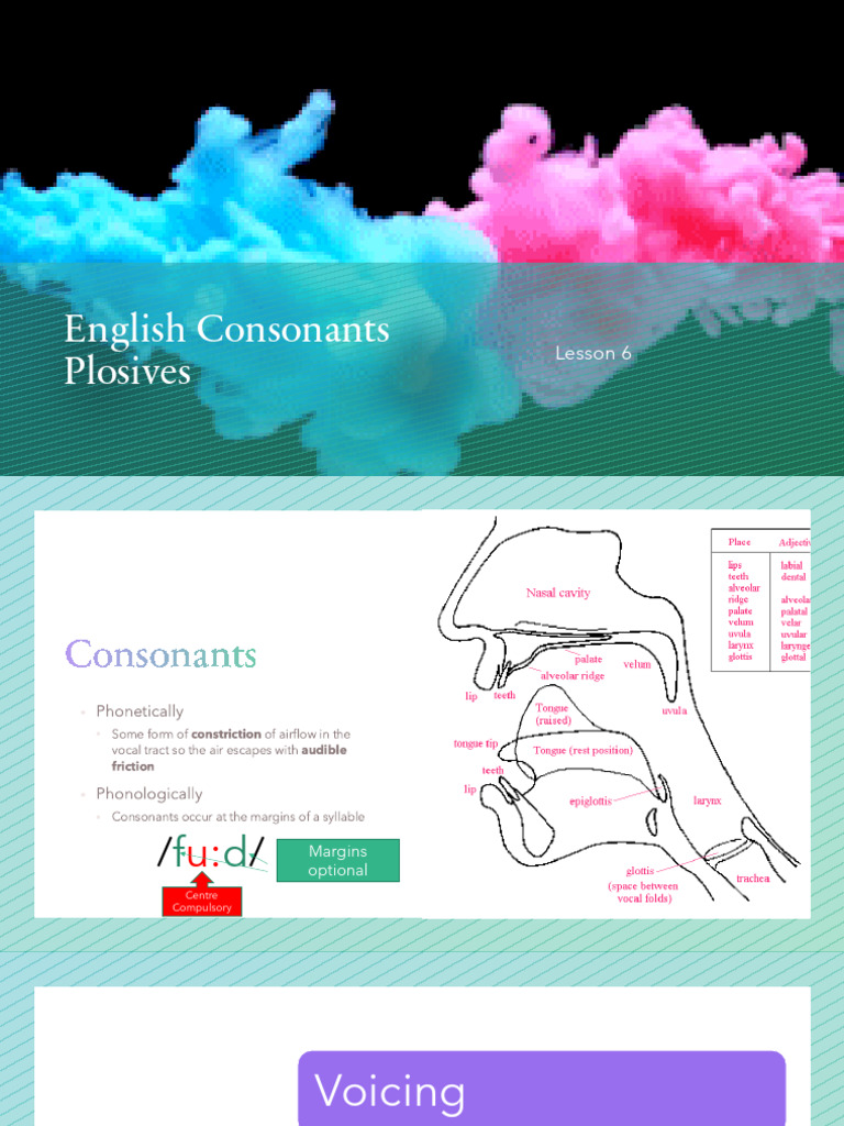 Lesson 6 English Consonants Plosives | PDF | Consonant | Linguistics