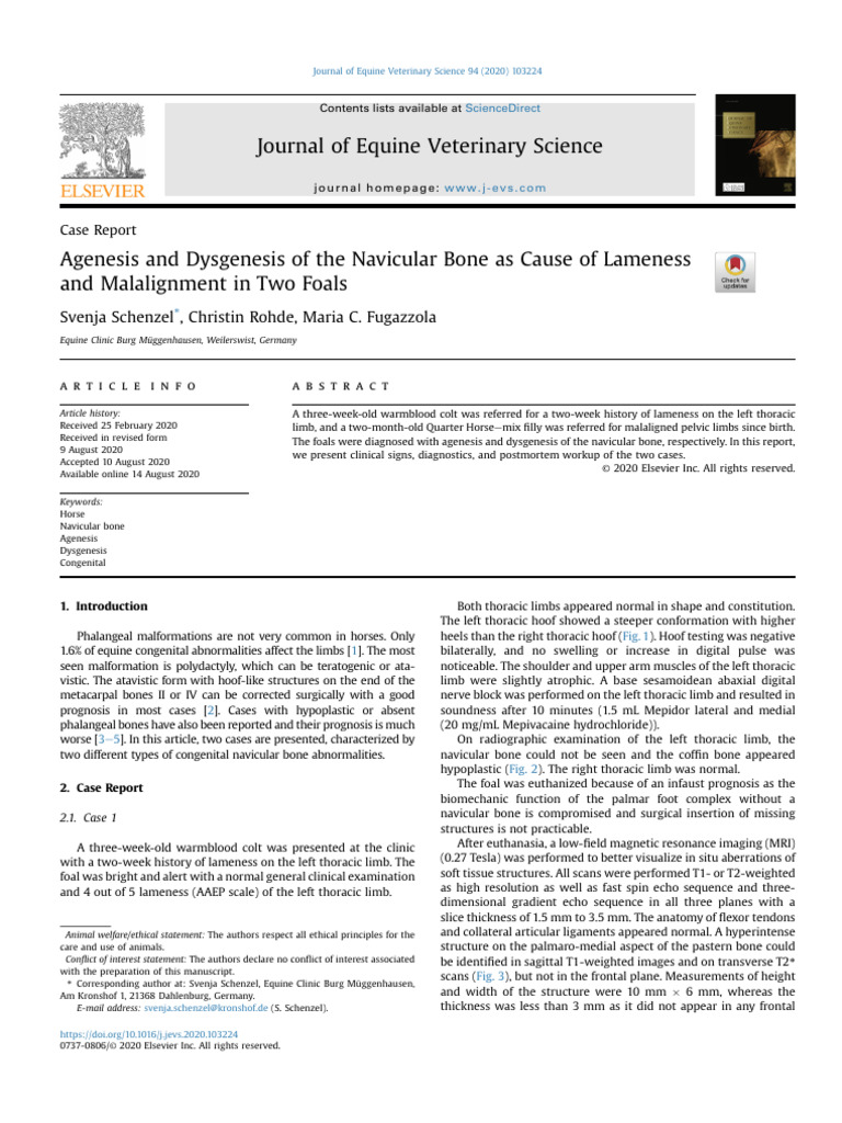 Schenzel 2020 | PDF | Magnetic Resonance Imaging | Bone