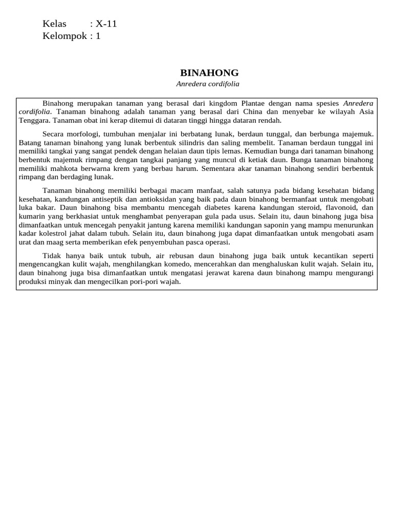 Proyek 1 - Binahong Kel 1 (X-11) | PDF | Kesehatan Holistik | Sains & Matematika