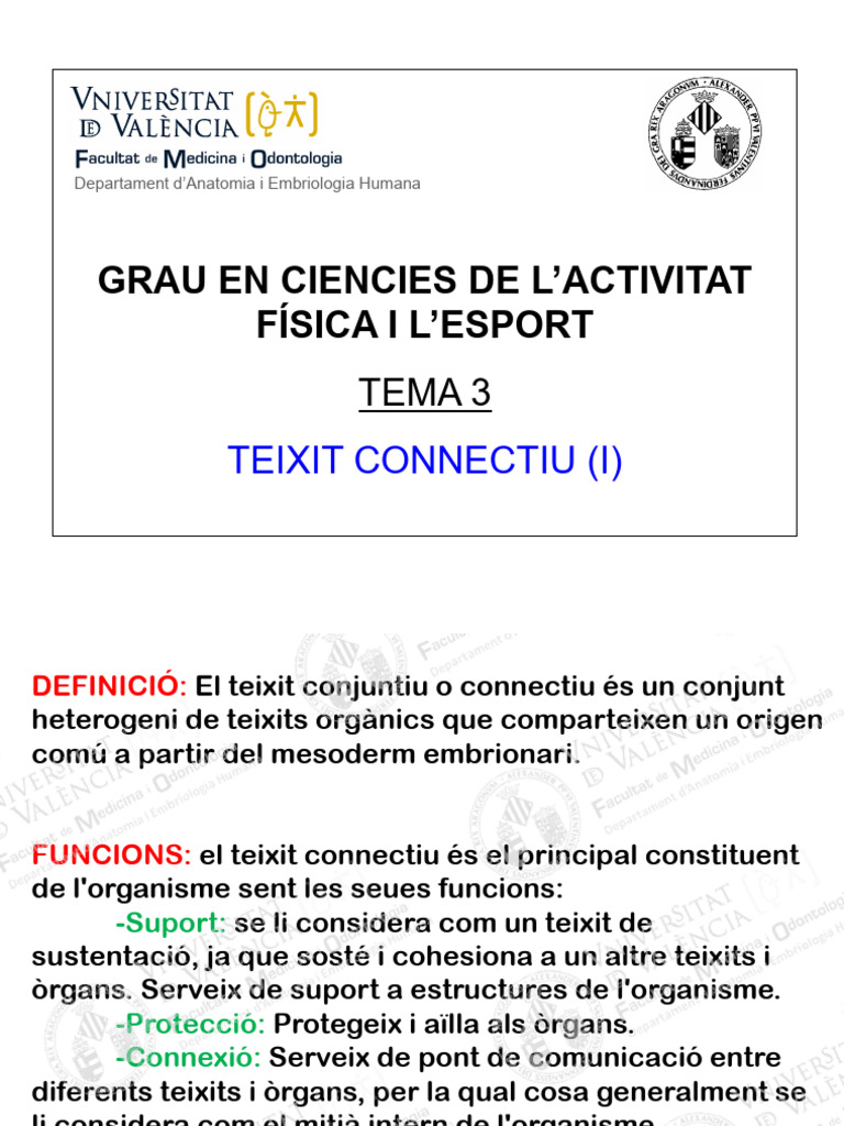 CAFE ANATOMIA Tema 03 Teixit Connectiu (I) | PDF