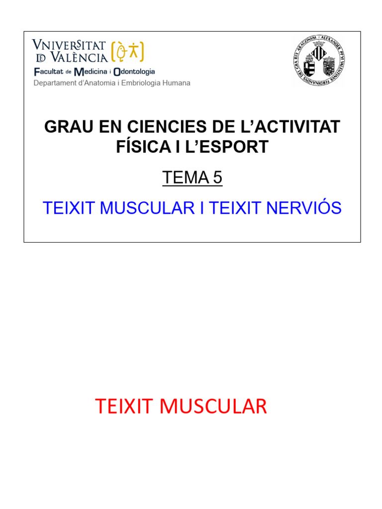 CAFE ANATOMIA Tema 05 Teixit Muscular I Teixit Nerviós | PDF