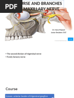 Maxillary Nerve Course & Branches | PDF | Human Head And Neck | Human ...