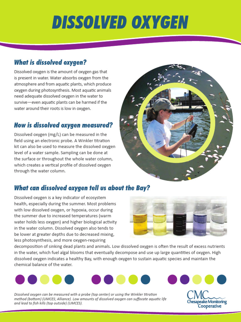 Tidal Water Quality Indicator Factsheets | PDF | Water | Salinity