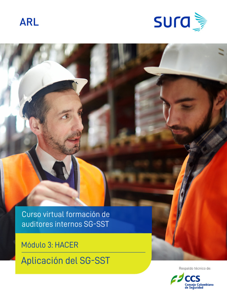 Formación de Auditores Internos SG-SST - Módulo 3 | PDF | Business | Outsourcing