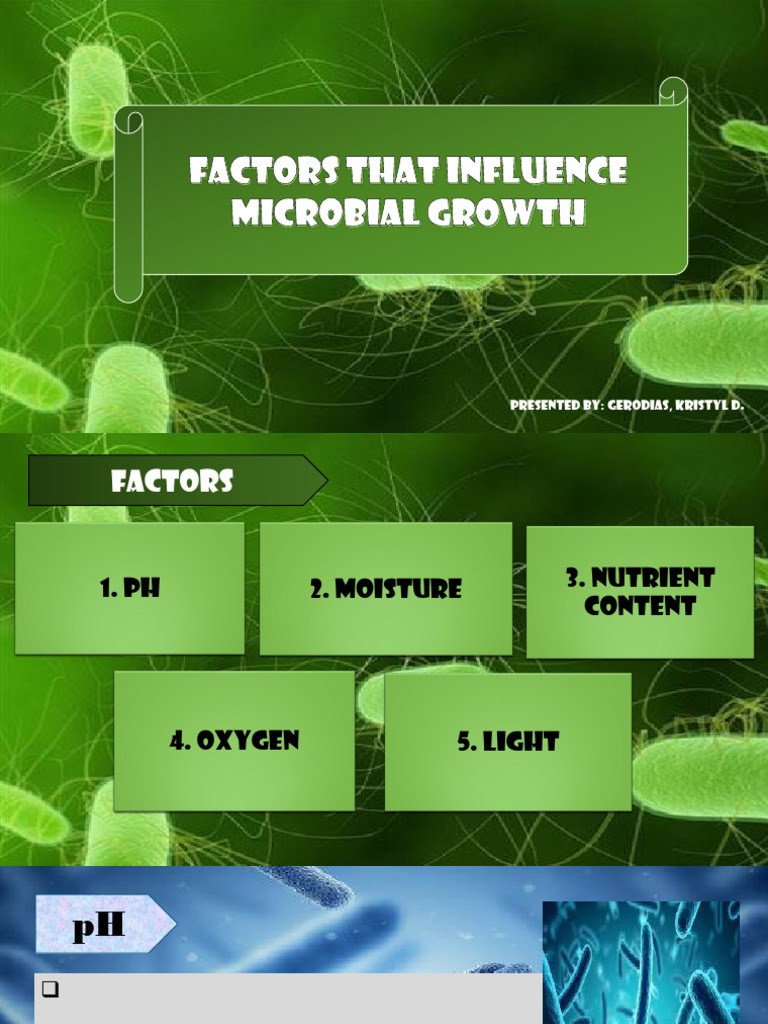 Microbial Growth | PDF | Bacteria | Yeast