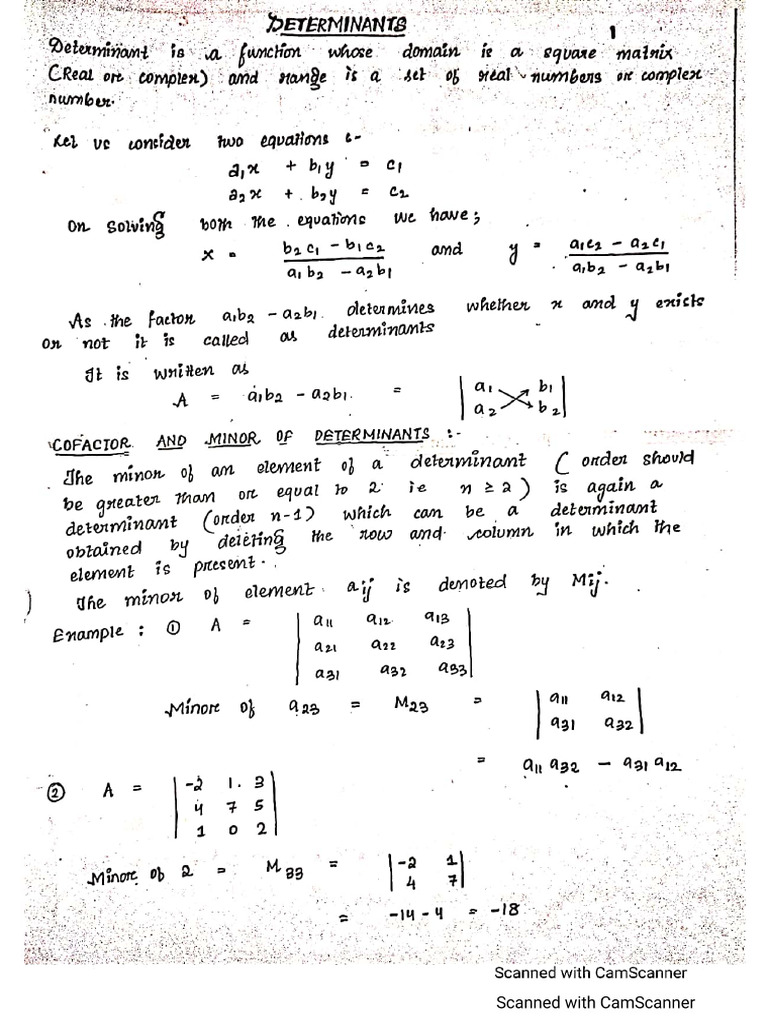 Determinants Notes | PDF