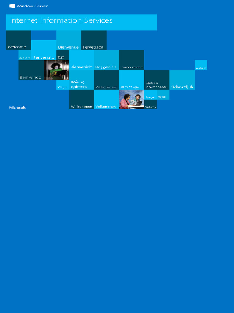 IIS Windows Server | PDF