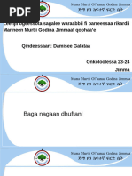 Bulchiinsa Yaa'Insa Galmee Qajeelfama 23-2016 | PDF