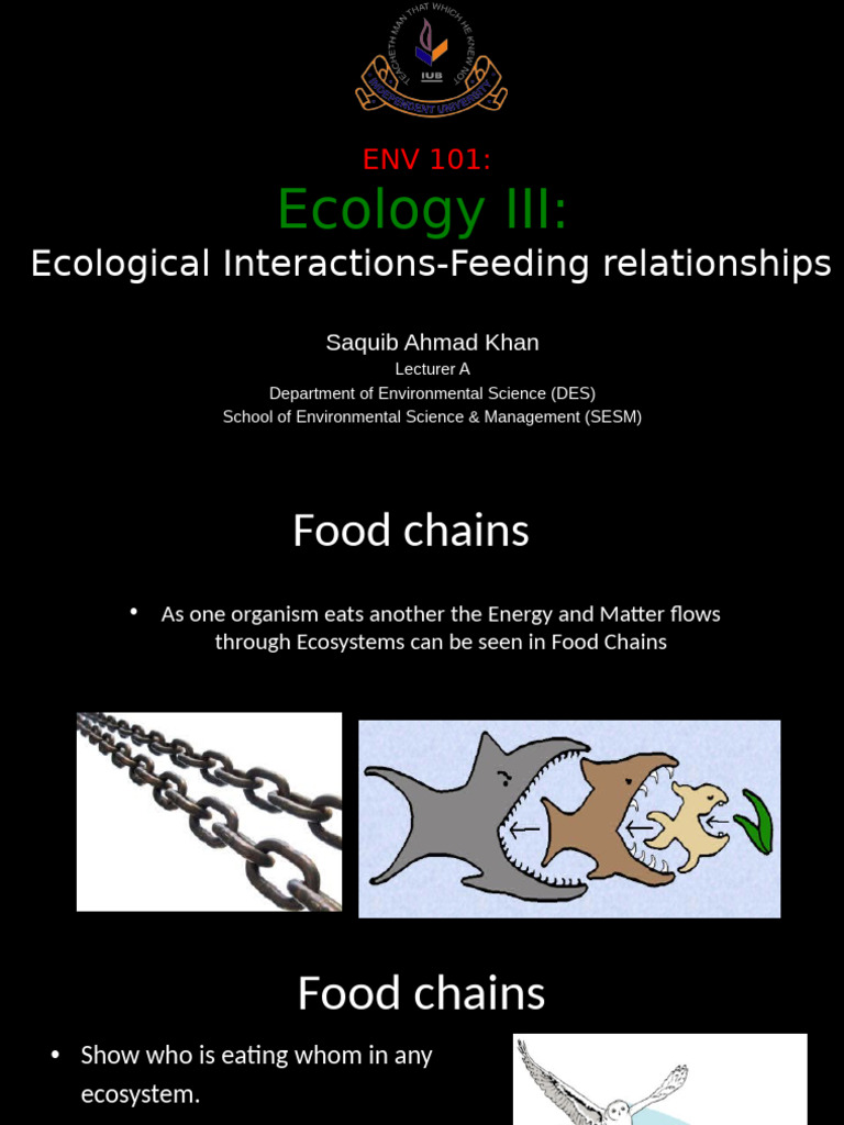 Ecology III - Ecological Interactions - Food Chains Food Webs Sh2021 ...