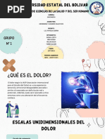 Uso de la Escala Visual Análoga (EVA) | PDF | Dolor | Terapia
