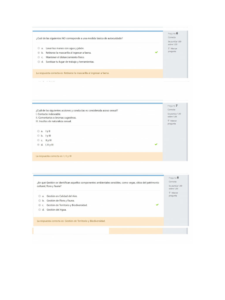 Evaluación Final BHP CERO DAÑO | PDF