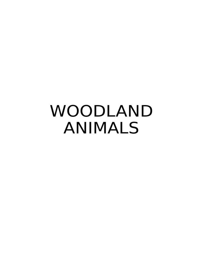 WOODLAND ANIMALS - Large Flashcards | PDF