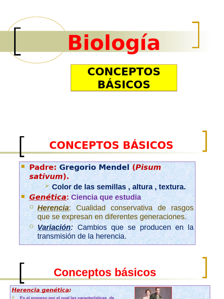 Genética: Conceptos Básicos | PDF