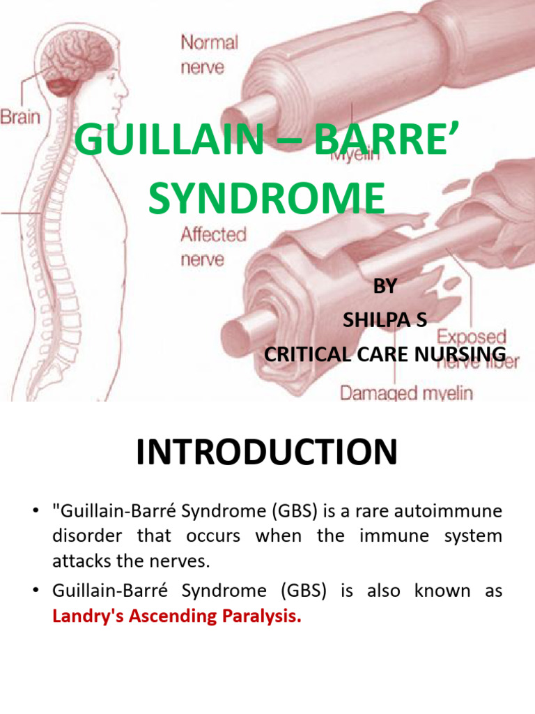 Guillain – Barre’ Syndrome | PDF | Nerve | Diseases And Disorders