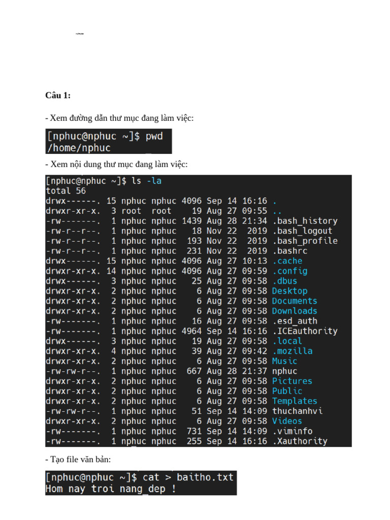 Bai Thuc Hanh 2 So 2 | PDF