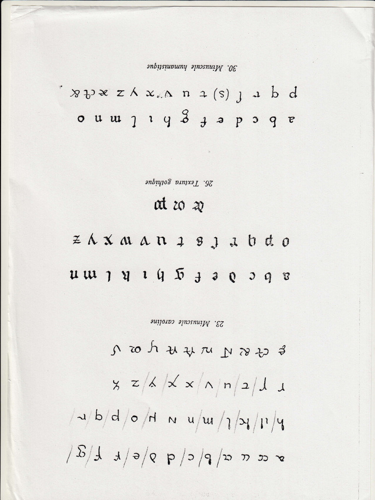 Alfab Carolina | PDF