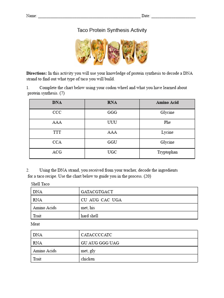 Taco Translation IP | PDF | Genetic Code | Ribosome