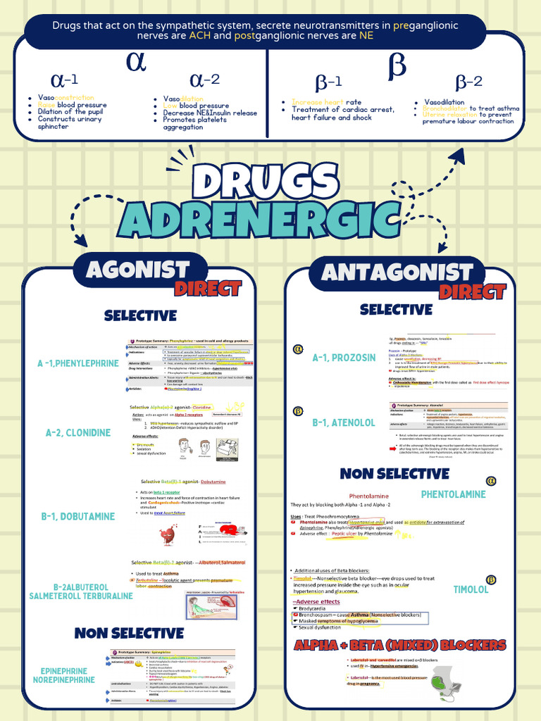 Adrenergic Drugs | PDF