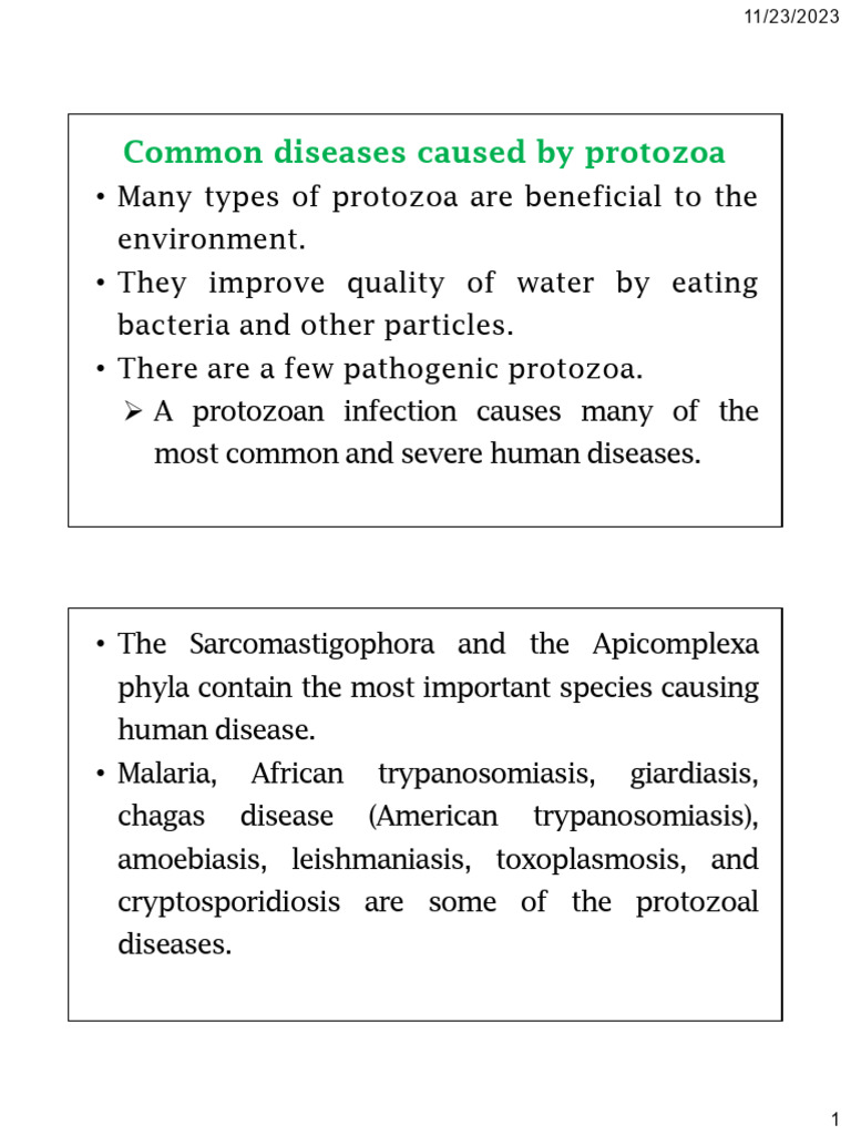 (Biol 12) Unit 2 - Microorganisms (Part 3) | PDF | Virus | Bacteriophage