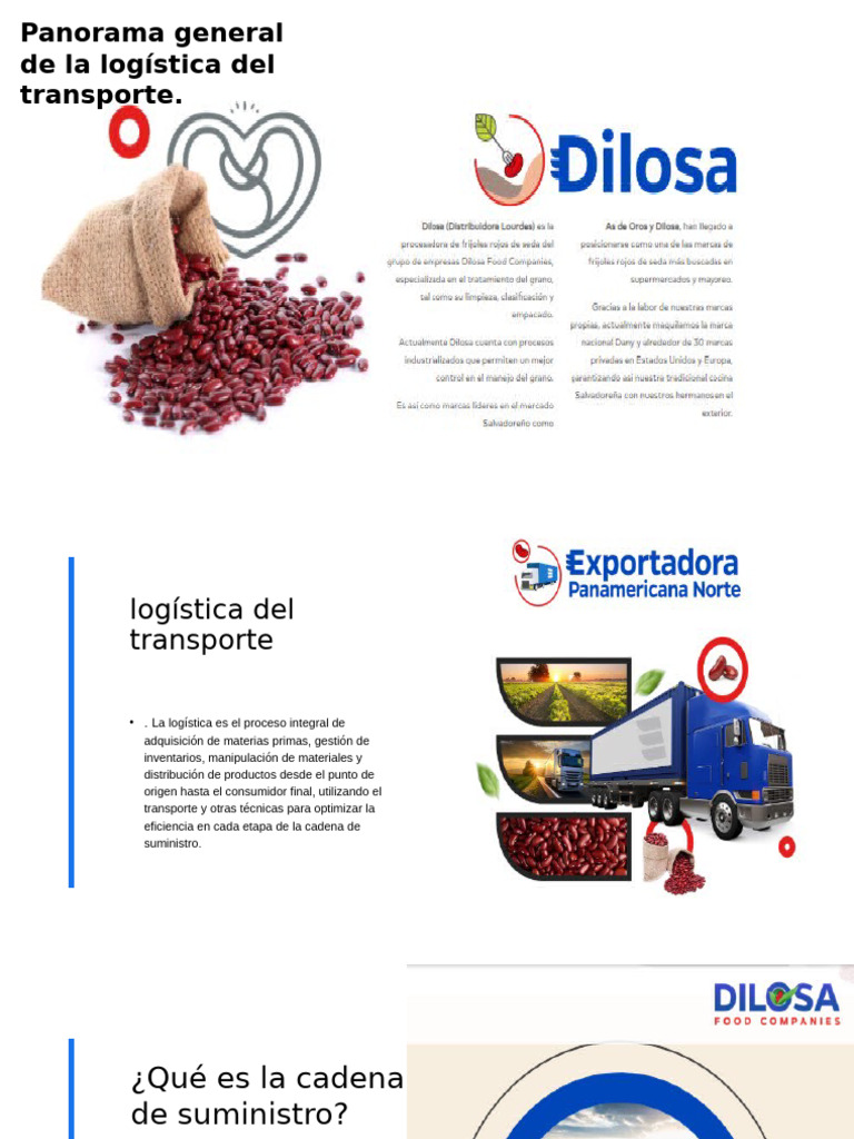 Transporte Dilosa | PDF | Logística | Economias