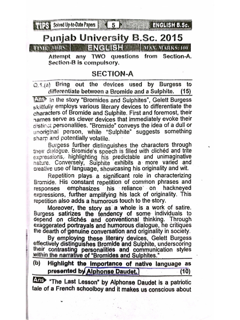 TIPS BSC English Past | PDF