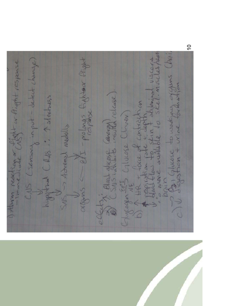 How To Study Goodly | PDF