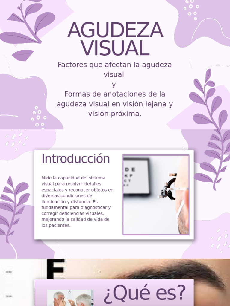 DIAPO | PDF | Percepción visual | Agudeza visual