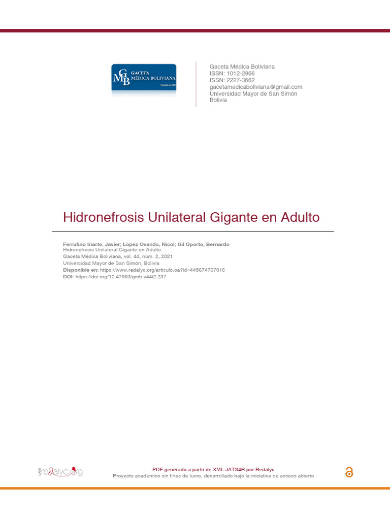 Hidronefrosis Unilateral Gigante en Adulto | PDF | Riñón | Sistema urinario