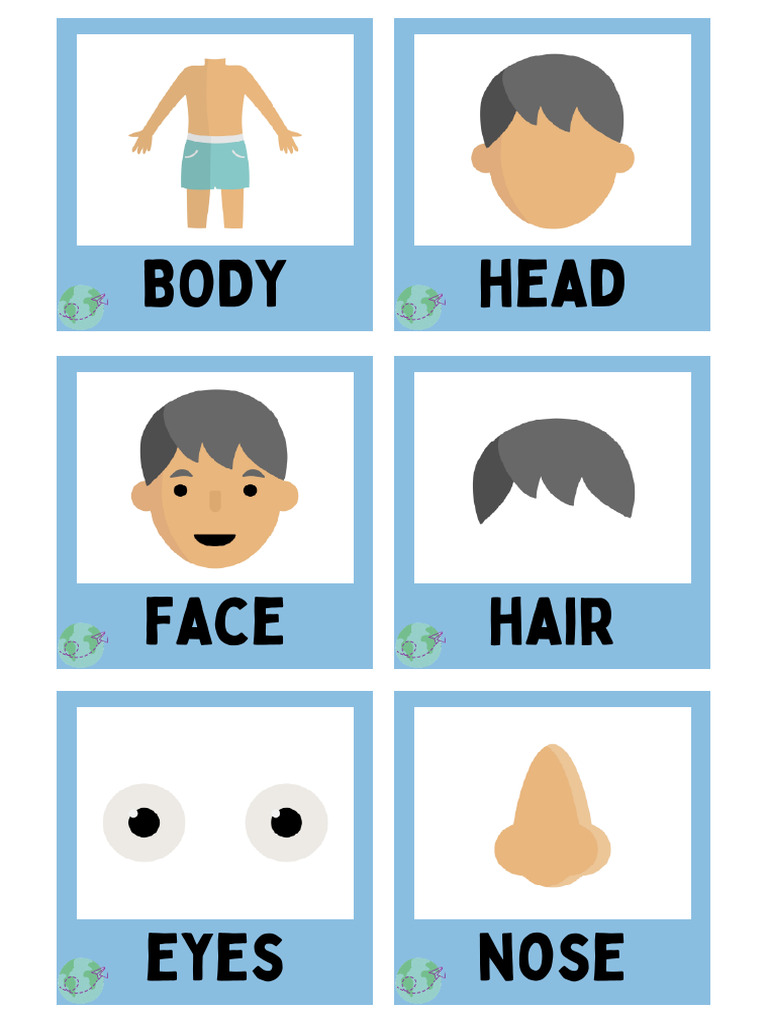 Body Parts Flashcards (Grande) | PDF | Career & Growth | Foreign ...