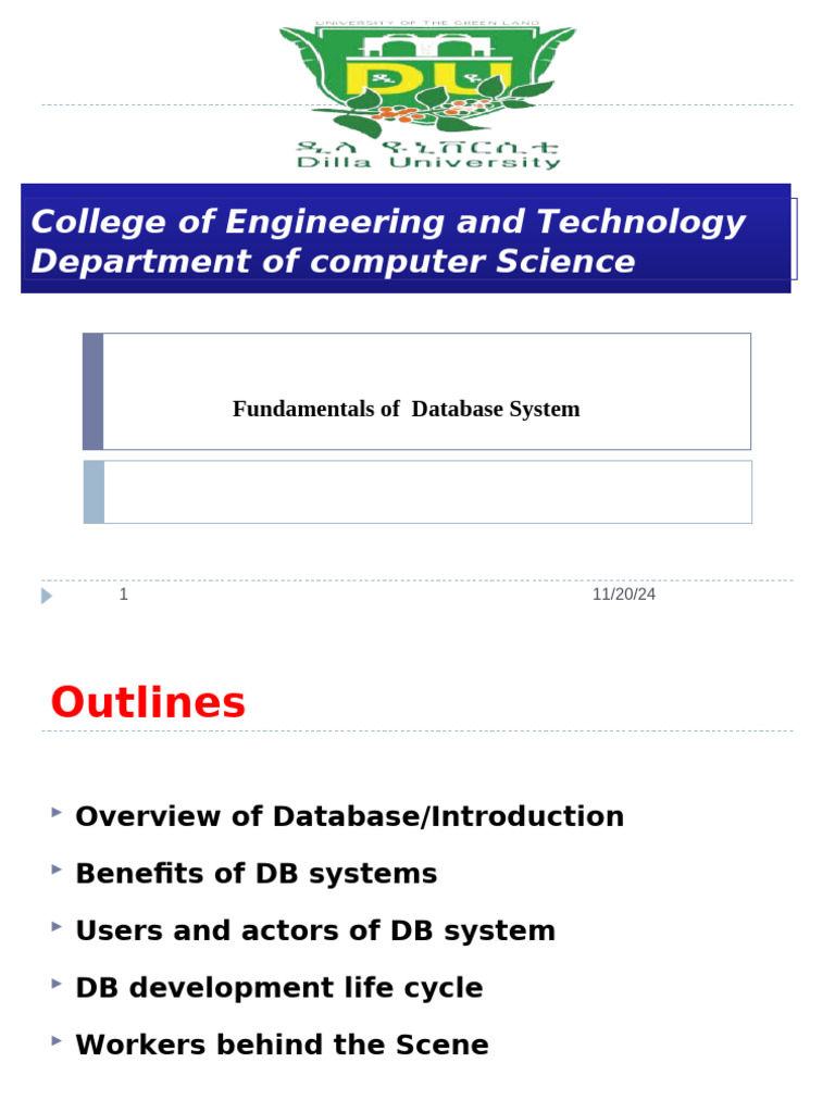 Chapter 1 - Introduction To Database Systems | PDF | Databases | Metadata