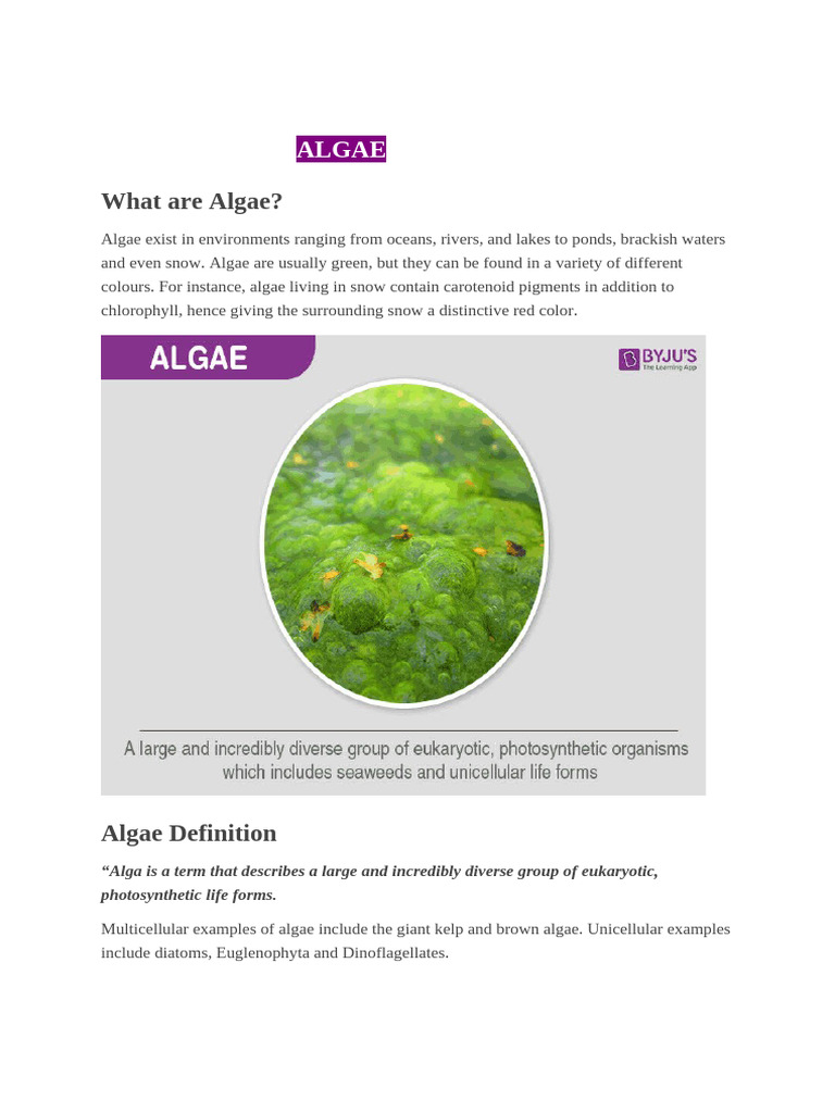 Algae Grade 11 | PDF | Algae | Cyanobacteria