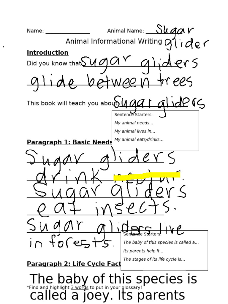 Animal Planning Page | PDF | Zoology