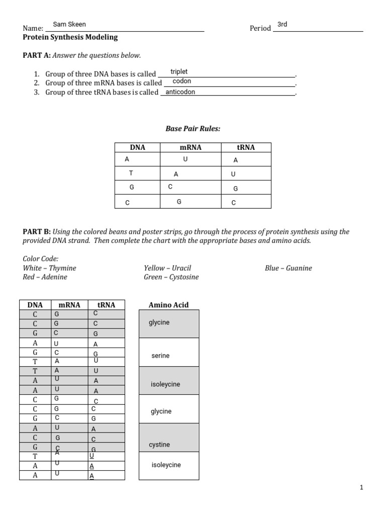 Protein Synthesis Process and Mutation Analysis | PDF | Translation ...