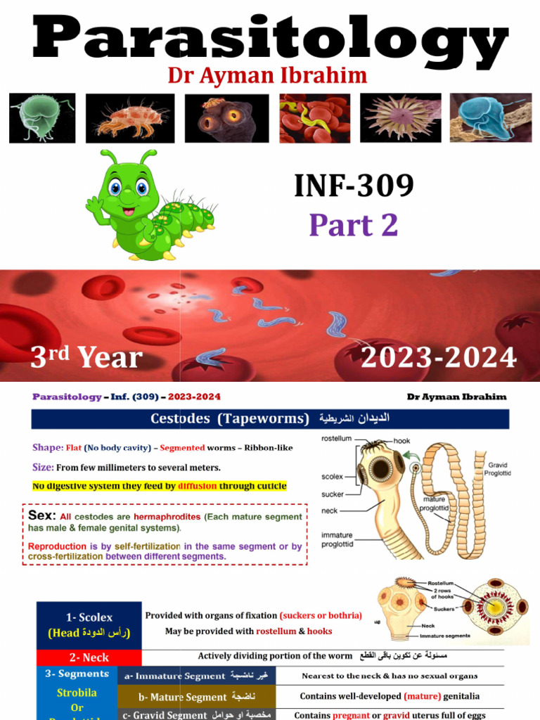Para 2 INF-309 DR Ayman Ibrahim | PDF