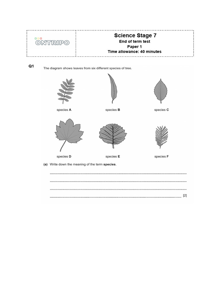 B7 EoT Term 1 Test 1 | PDF
