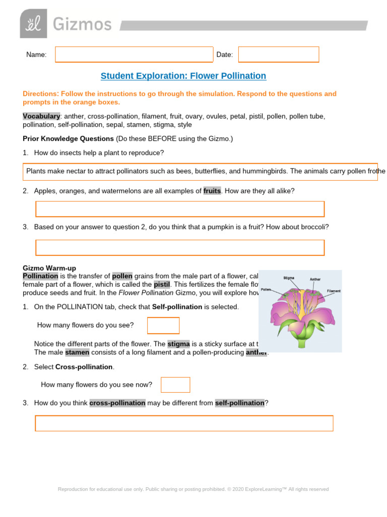 FlowerPollinationSE | PDF | Flowers | Pollination