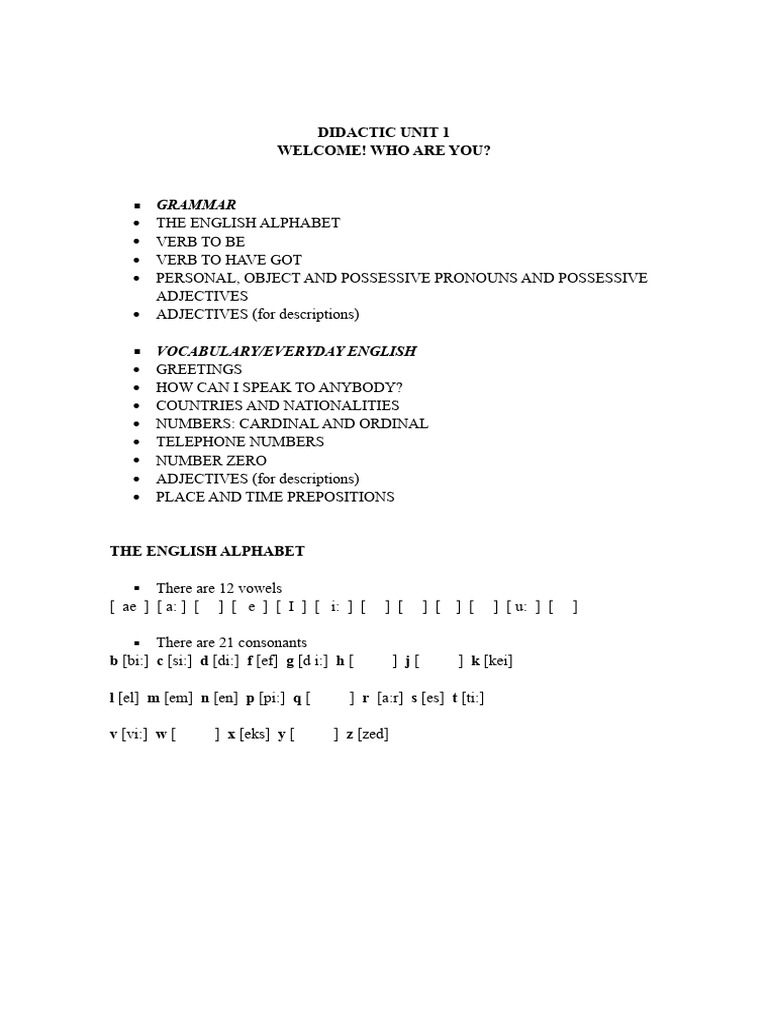 Didactic Unit 1 - Who Are You | PDF | Pronoun | English Language