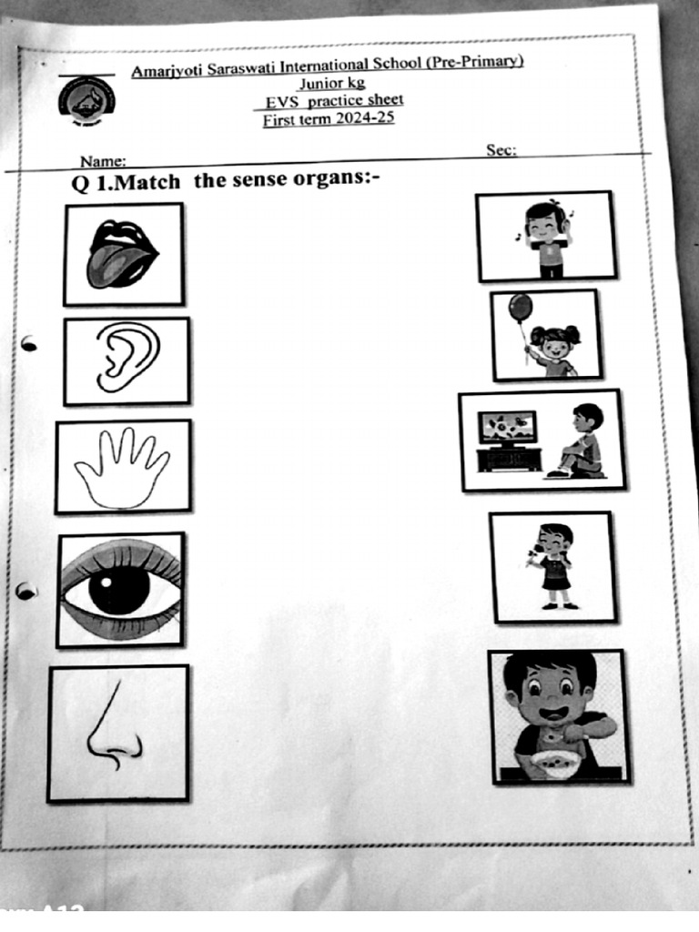 Evs Practice Sheet | PDF