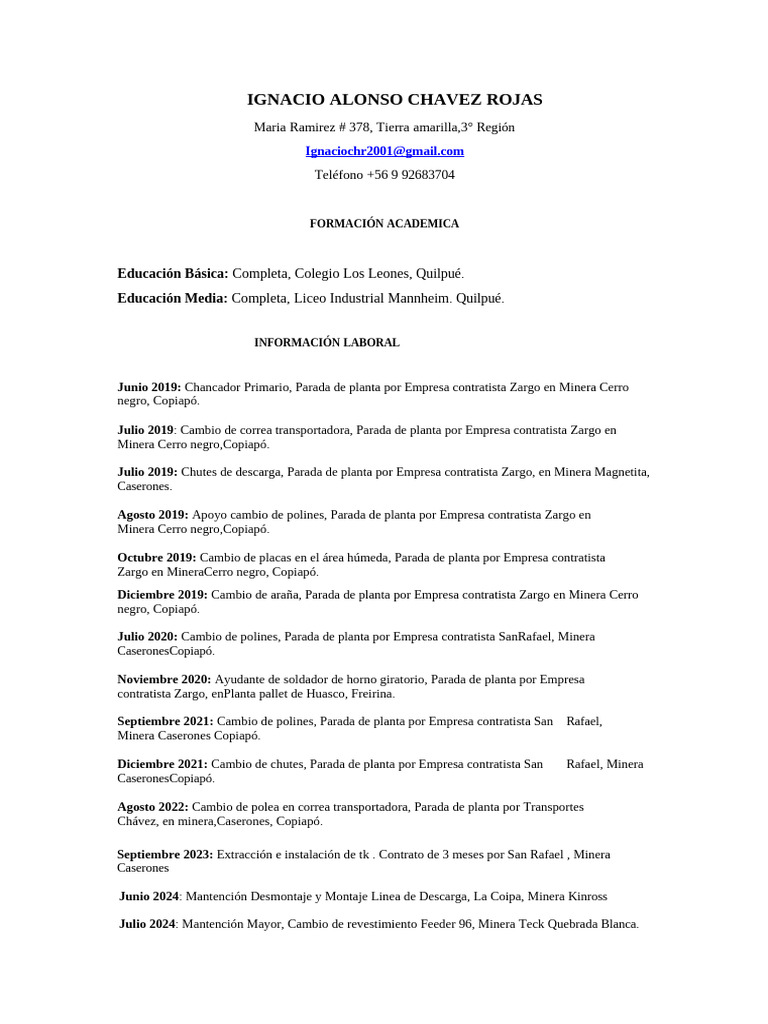 Curriculo Nacho | PDF