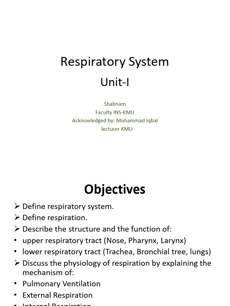 Overview of the Respiratory System | PDF | Lung | Larynx