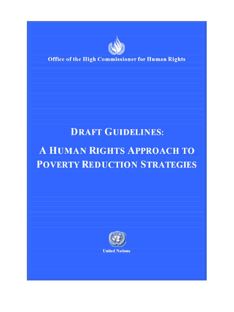 Draft Guidelines UN | PDF