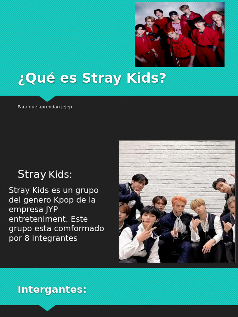 Qué es Stray Kids y sus skzoos | PDF