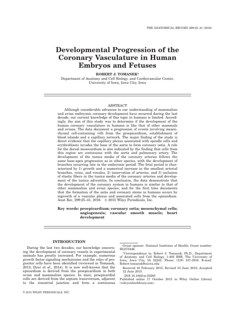 Developmental Progression of The Coronary Vasculature in Human Embryos ...